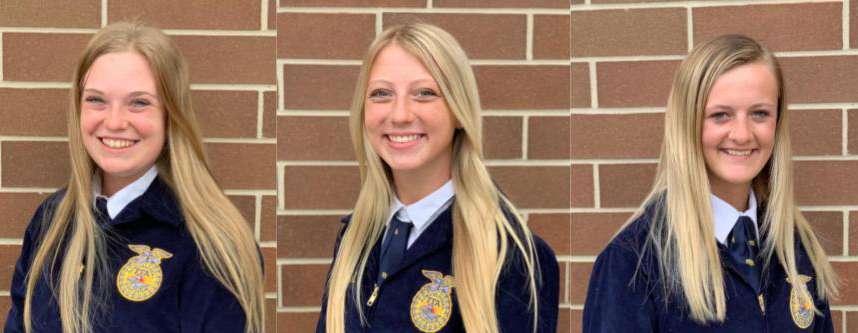Edon FFA Officer Books Receive State Gold Ratings - The Village Reporter