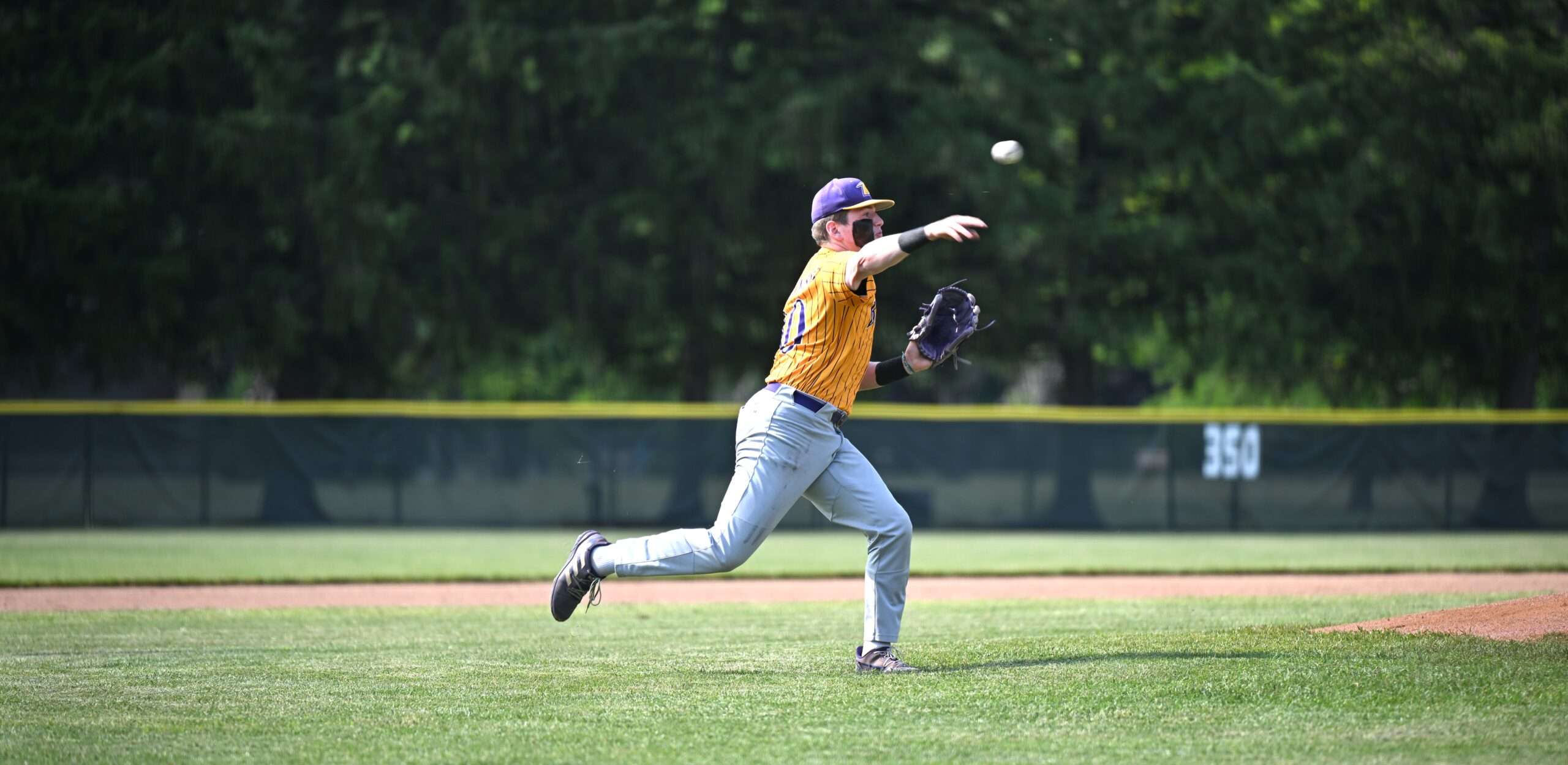 Bryan vs. Napoleon ACME Baseball Districts - The Village Reporter