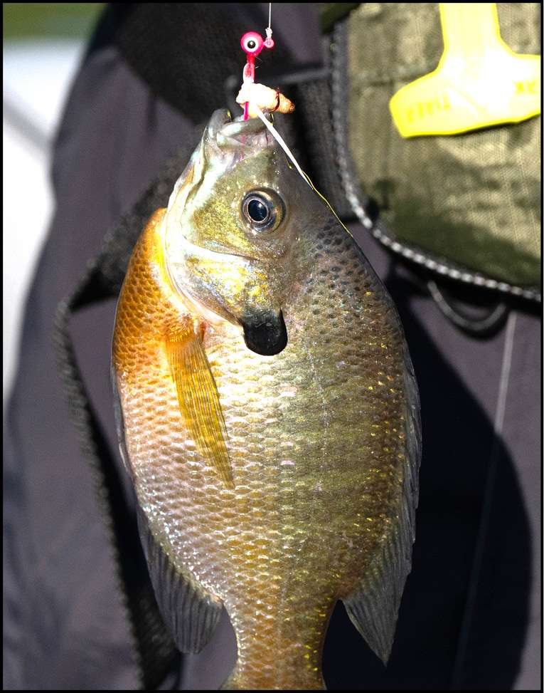 ODNR Sets Special Fishing Regulations At Lake La Su An Wildlife Area ...